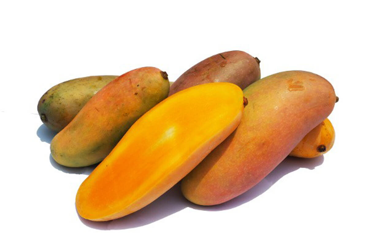 Mango Maha Chanuk Bio Thailanda — GoVeggie